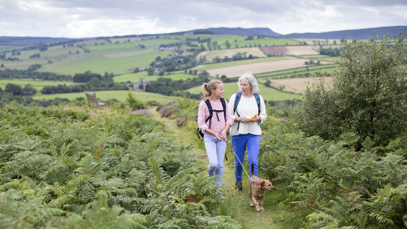 Irish Host Famly - Learn English in Ireland